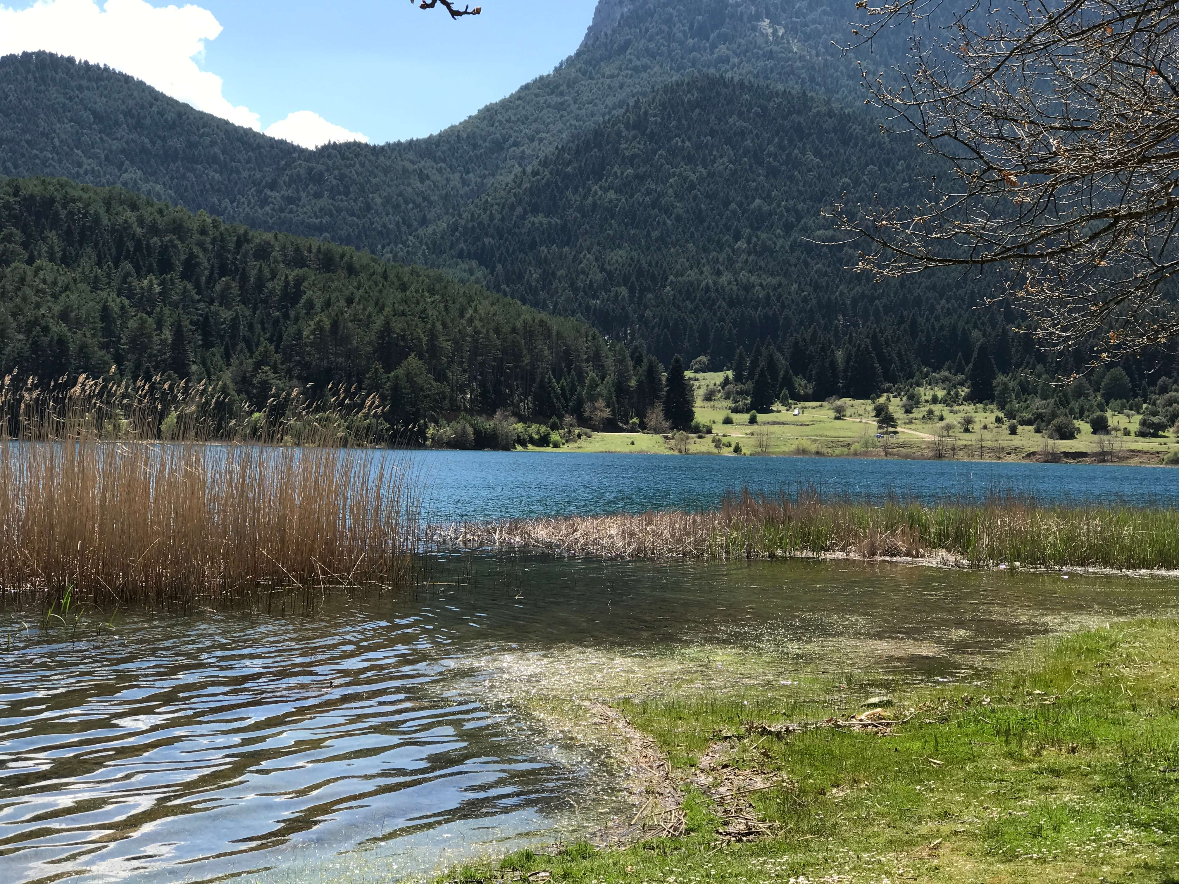 Προστατευόμενες Περιοχές Natura 2000: Μια Χαμένη Ευκαιρία - Dianeosis