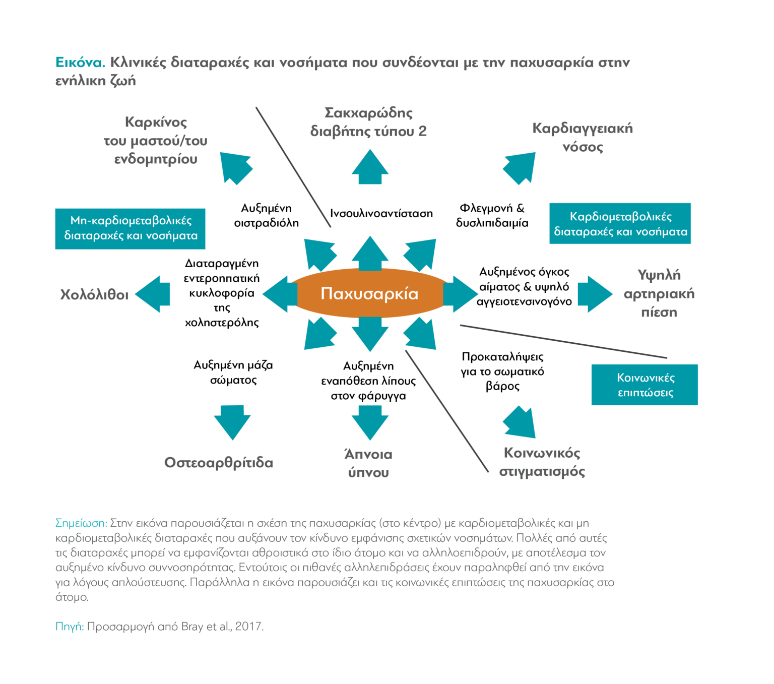 Η Παχυσαρκία Και Οι Συνέπειές Της - Dianeosis